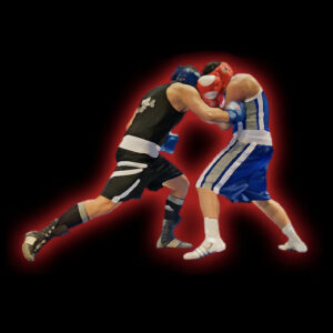 🥊 Best Boxing Manager Simulator Games and Apps