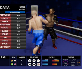 Boxing Club Manager (Windows PC, Mac OS)